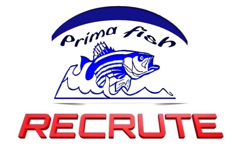 Prima fish // recrute » Offres d'emplois