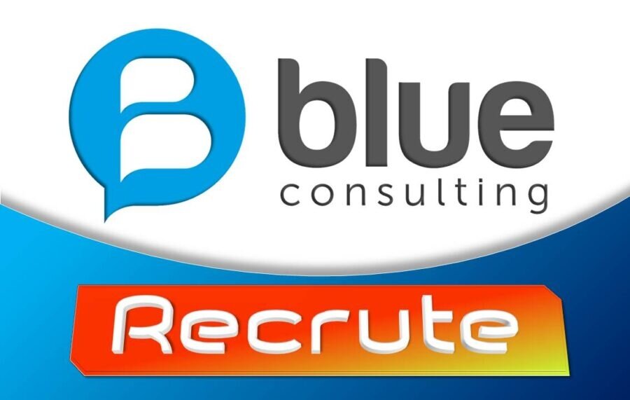Blue Consulting / recrute – Offres d'emploi
