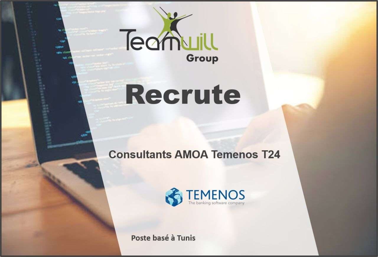 TEAMWILL CONSULTING / recrute » Offres d'emplois