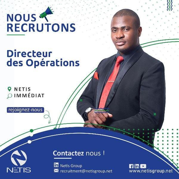 NETIS Group / recrute – Offres d'emploi