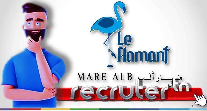 Mare Alb / recrute – Offres d'emploi