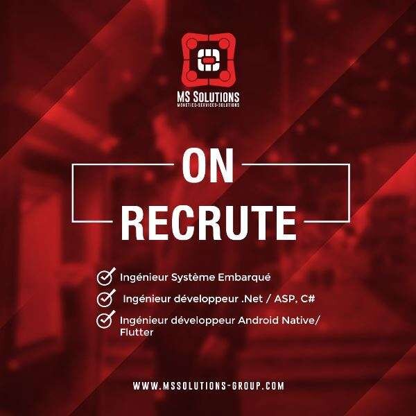 MS Solutions Group / recrute [#job n°1] – Offres d'emploi